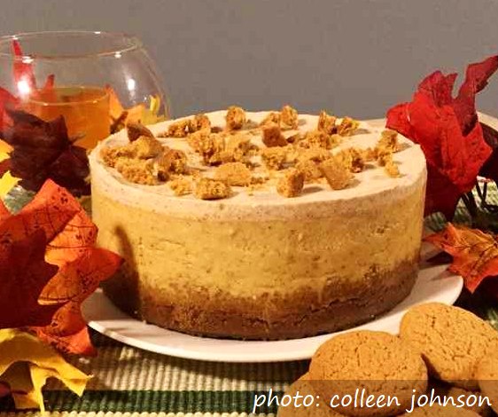 Pumpkin Cheesecake | Rootitoot