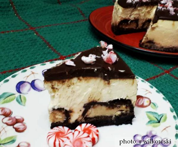 Peppermint Chocolate Surprise Cheesecake | Rootitoot